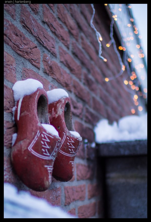 First shots with Voigtländer 17.5mm 0.95 on OM-D | DPReview Forums