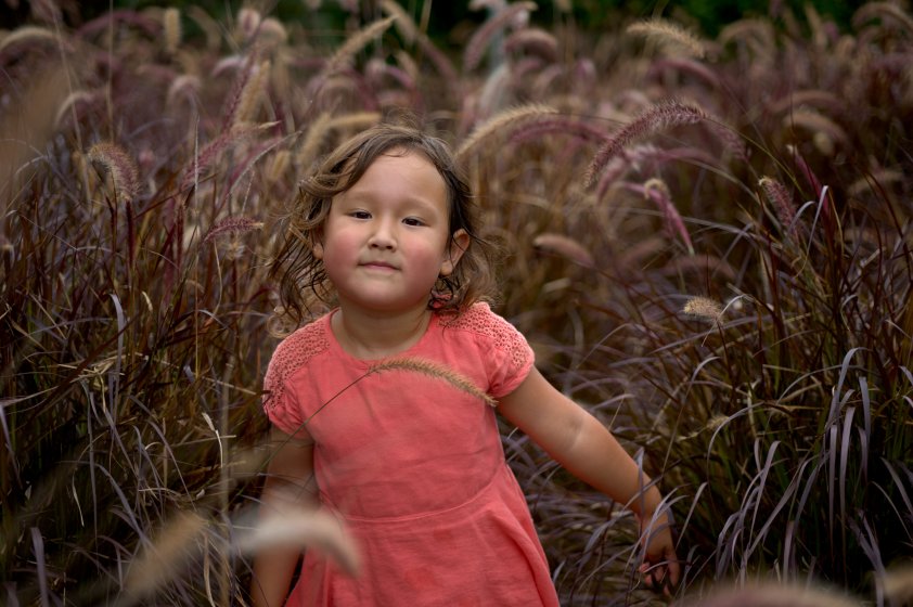 Field Utility... The Nikkor 60mm F2.8D | DPReview Forums