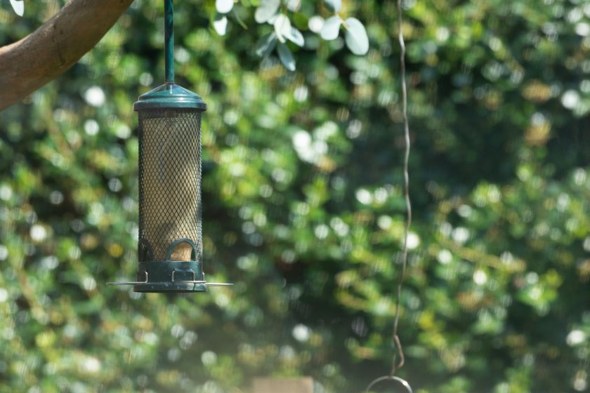 Strange OOF banding with 200-500 + d500. | Page 2 | DPReview Forums