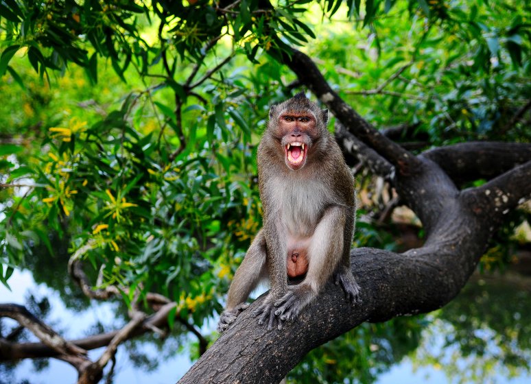 Still Using a D300/17-55 2.8 . | DPReview Forums