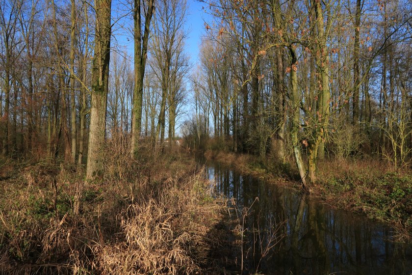 G7Xm2 and LX15 Comparison pics (WA landscape) SOOC | DPReview Forums