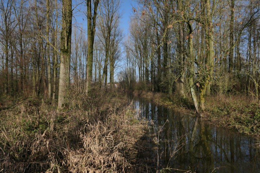 G7Xm2 and LX15 Comparison pics (WA landscape) SOOC | DPReview Forums