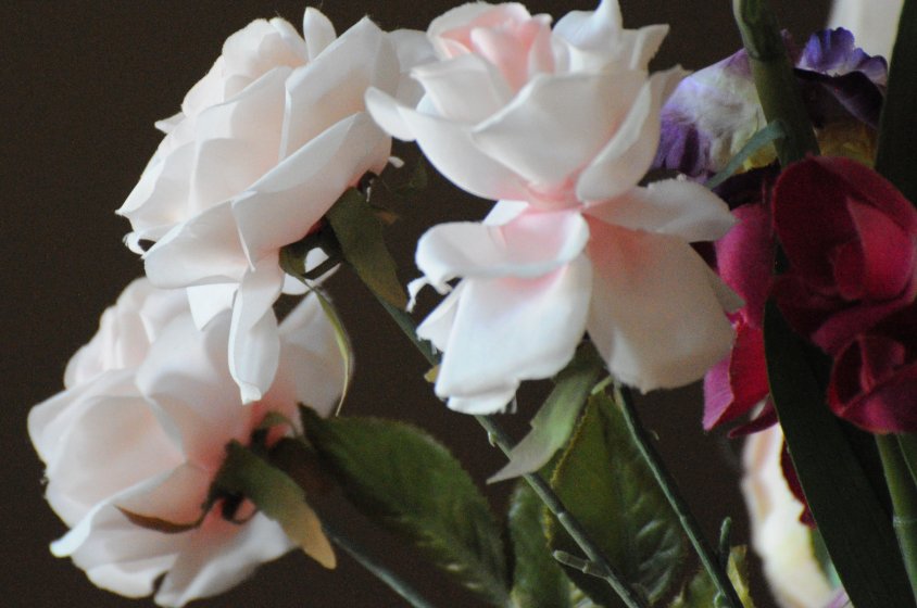 Are new 24MP D3400 sensors are much netter than 12MP D90 sensor ? | DPReview Forums