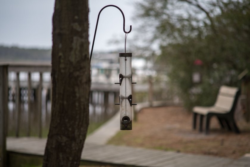 135mm: Rollei f/4 vs MD f/3.5 | DPReview Forums