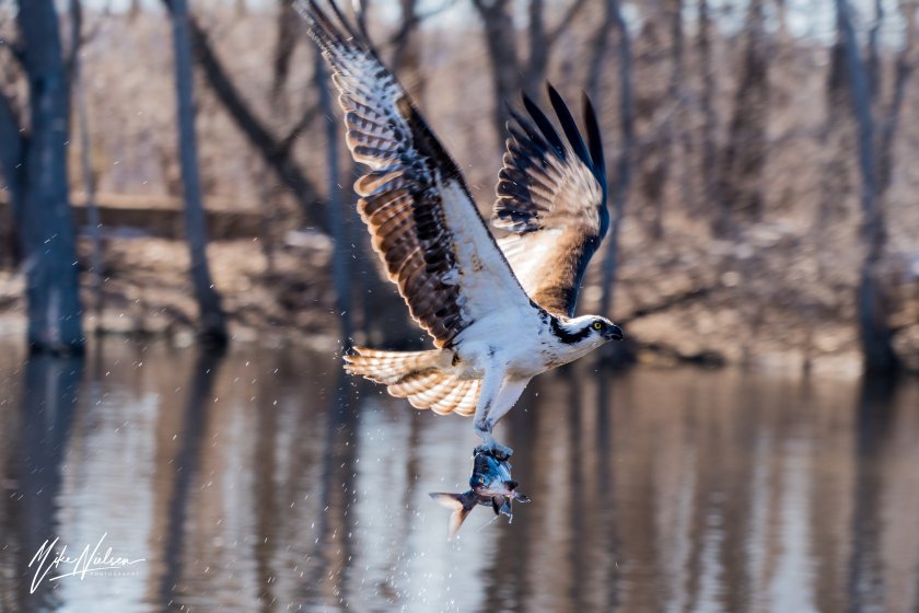 Tamron 70-200 G2 poor performance with TC-X20? | DPReview Forums