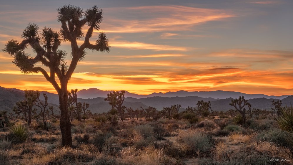 Joshua Tree NP - part 2 - sunset and sunrise | Page 2 | DPReview Forums