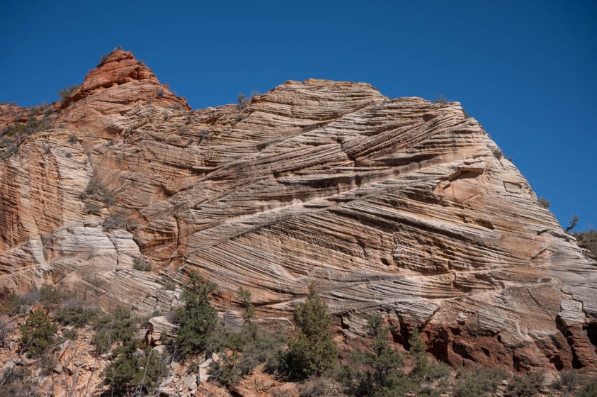 24-70 f4 with Lightroom built-in lens profile | DPReview Forums