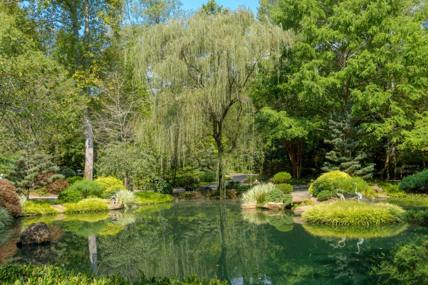 Gibbs Gardens, GA | DPReview Forums