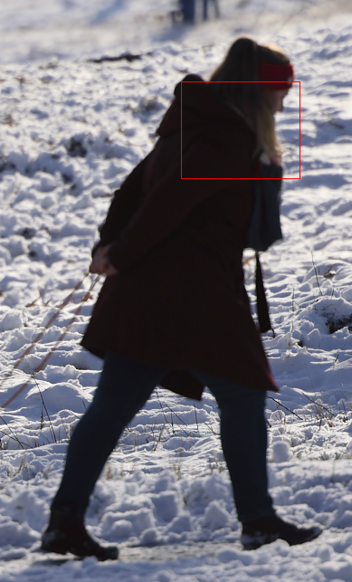 R6 AF problem: camera or user error - how to avoid? | DPReview Forums