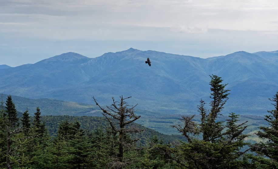 EM1 goes to the White Mountains - image heavy | DPReview Forums