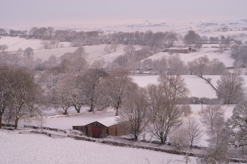 January 2021 Part 1 — This Month Through Your Adapted Lens | Page 6 ...