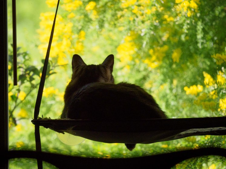 First photos with the 150-400 lens | DPReview Forums