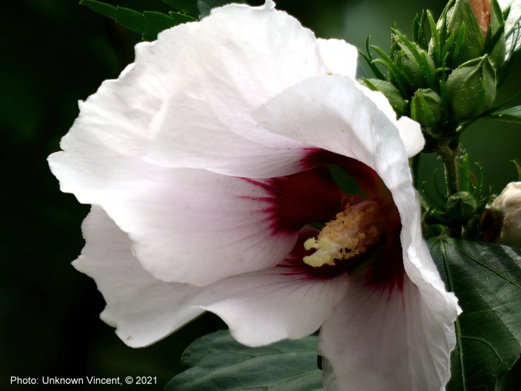 FZ80 experiences pt.18 | Page 4 | DPReview Forums