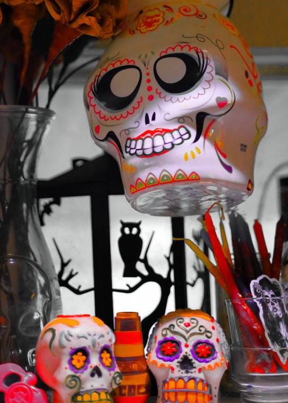 EF 50 1.4 vs RF 50 1.8 | DPReview Forums