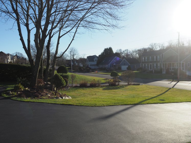 Olympus 12-200 vs 14-150 II comparison scene 1 | Page 2 | DPReview Forums