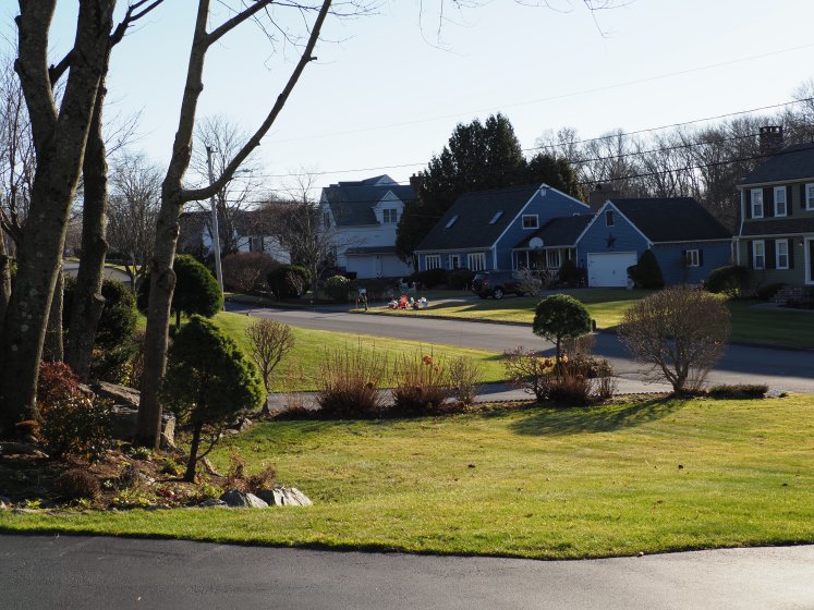 Olympus 12-200 vs 14-150 II comparison scene 1 | Page 2 | DPReview Forums