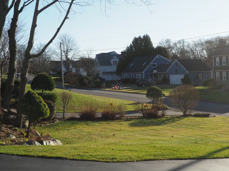 Olympus 12-200 vs 14-150 II comparison scene 1 | Page 2 | DPReview Forums