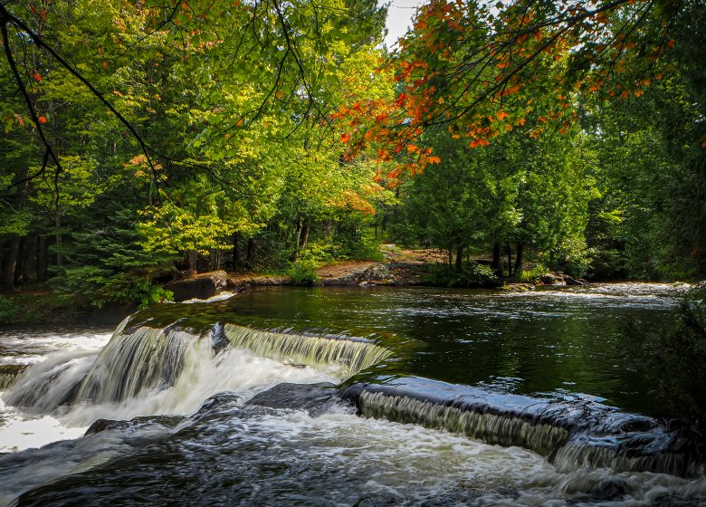 Upgrade from E-M10 ii to OM-5 | DPReview Forums