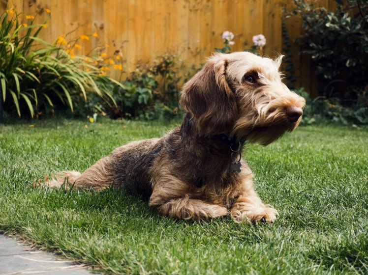 Xiaomi 14 Ultra B&W+Color | DPReview Forums