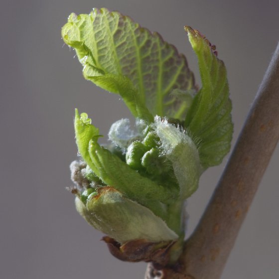 Post your PHOTOS! - March and April 2024 | Page 2 | DPReview Forums