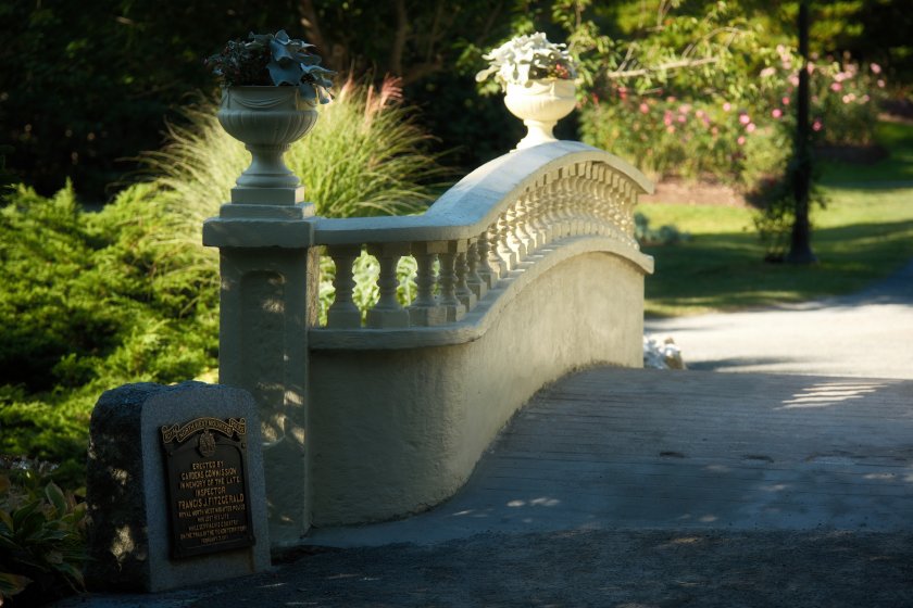 Mini review of the TTArtisan 75mm f2 with sample pics | DPReview Forums