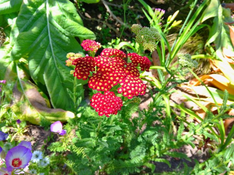 In San Francisco with Kodak Pixpro's new C1 | DPReview Forums