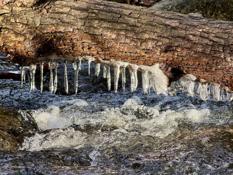 Reeflex 240mm telephoto lens | DPReview Forums