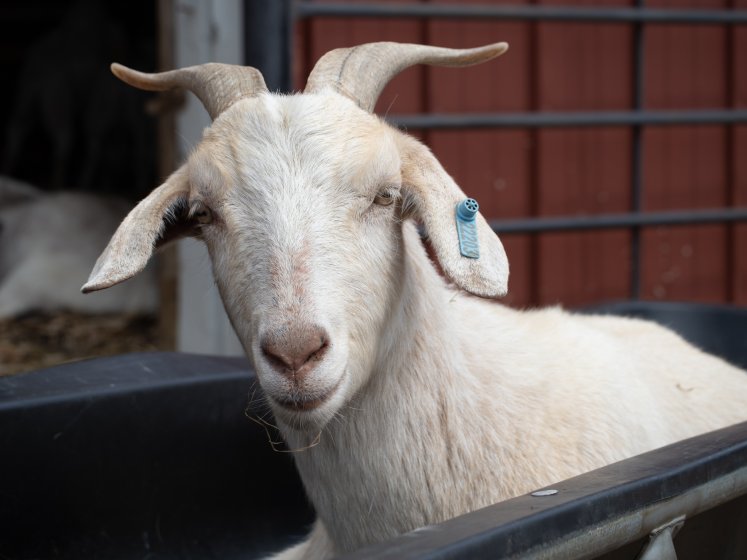 Stone Barns Center EM1X | DPReview Forums