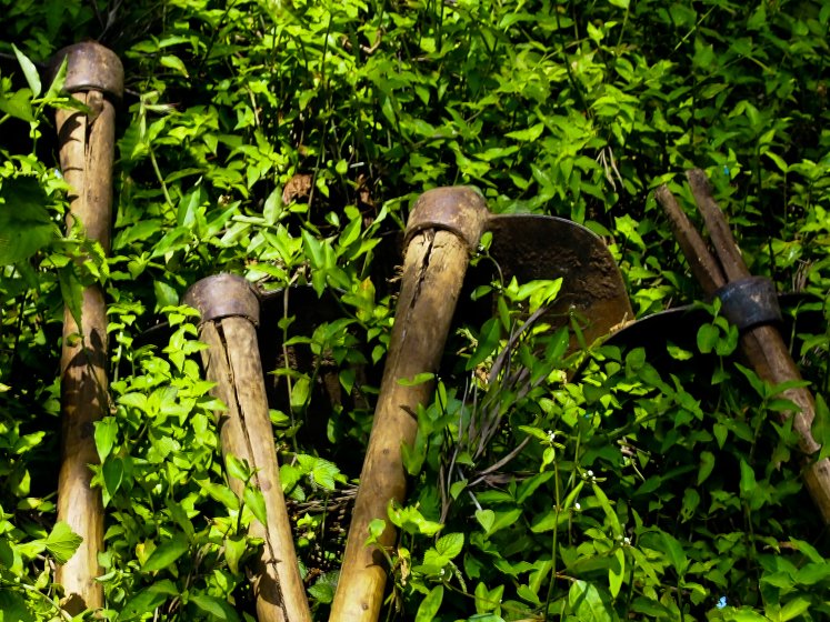 Hand tools at Rest and some...... | DPReview Forums