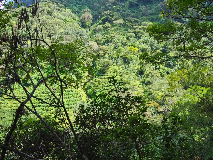 Hand tools at Rest and some...... | DPReview Forums