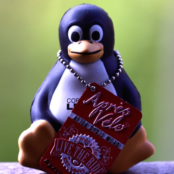 First attempt at AF fine tune | DPReview Forums