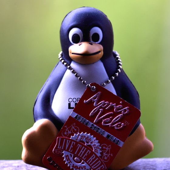 First attempt at AF fine tune | DPReview Forums