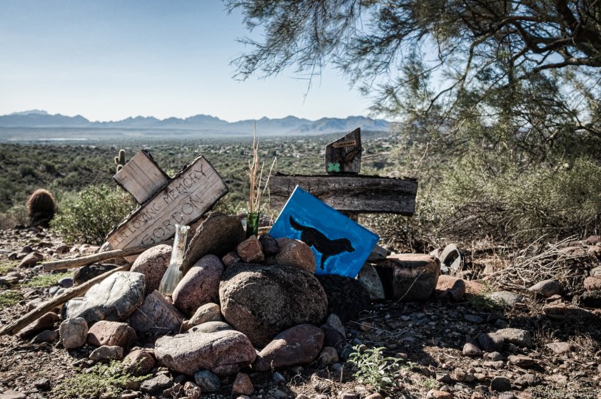 Doggy Grave Site? | DPReview Forums