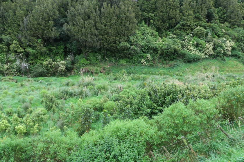 I never thought I'd now be the owner of a G7X when I woke up this ...