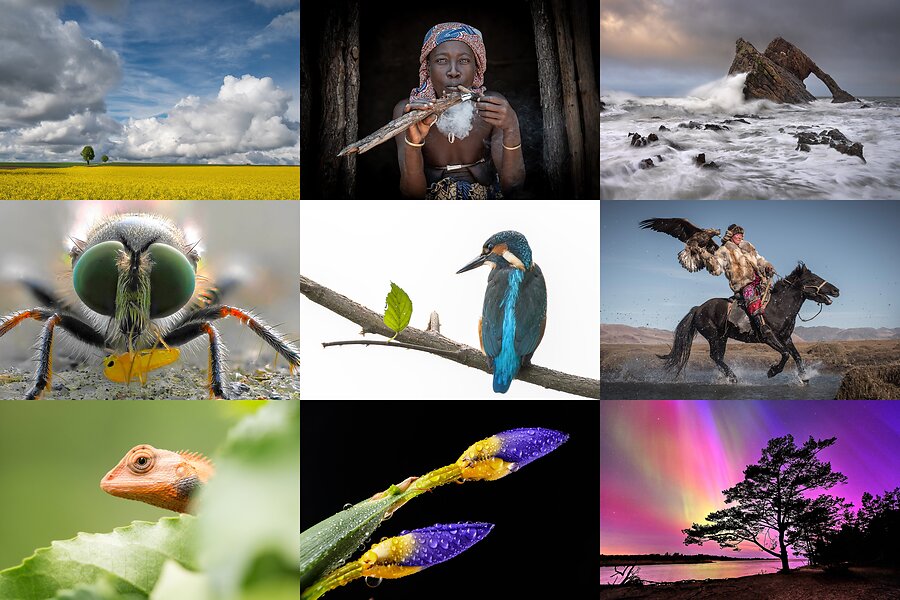 Show us your best photos of 2025! | DPReview Forums