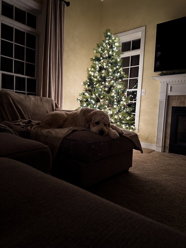 Project Indigo before and after with Lightroom | DPReview Forums