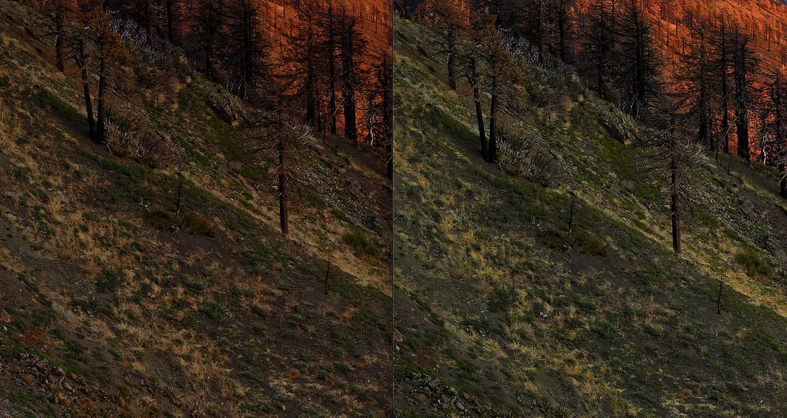 Revisiting Nikon's NX Studio & Comparing to DxO PhotoLab 9 | DPReview Forums