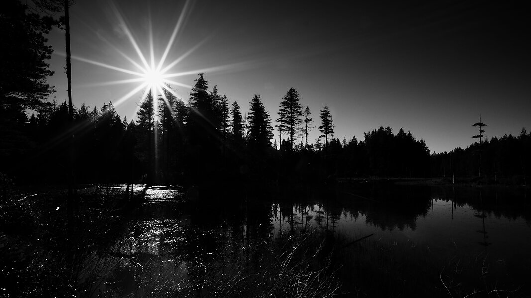 Sunstar | DPReview Forums