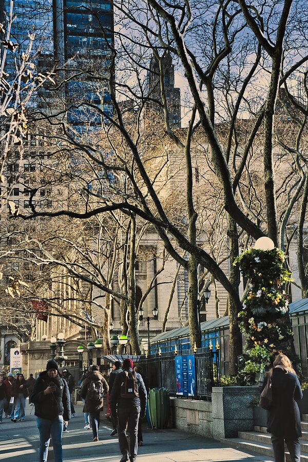 42nd - Bryant Park - NYPL | DPReview Forums