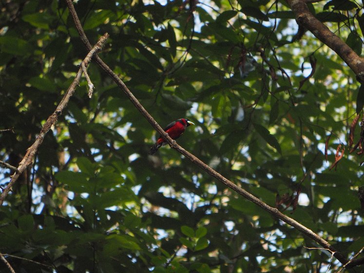 Return E-M1 with Bad Pixel on Sensor? | DPReview Forums