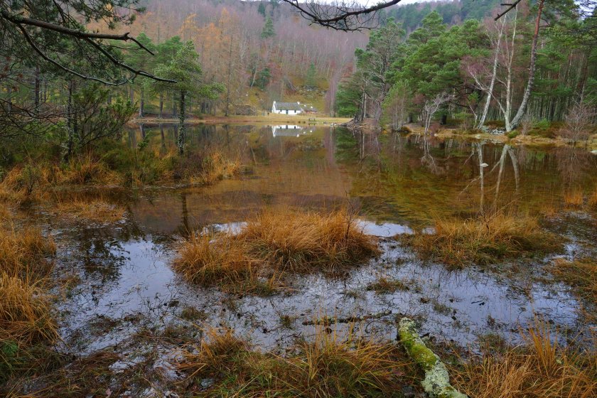 Landscapes Thread 19th 1 2015 | Page 8 | DPReview Forums