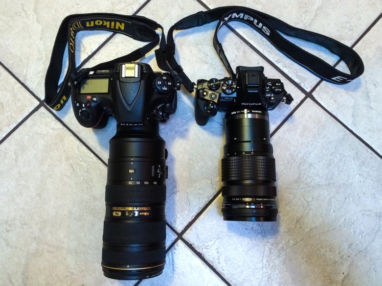Some shots with E-M1+40-150 & D810+70-200 | DPReview Forums