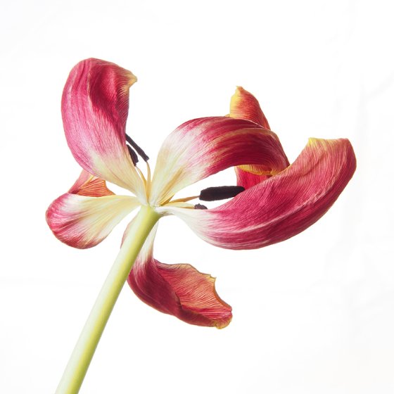 Is it possible .... | DPReview Forums