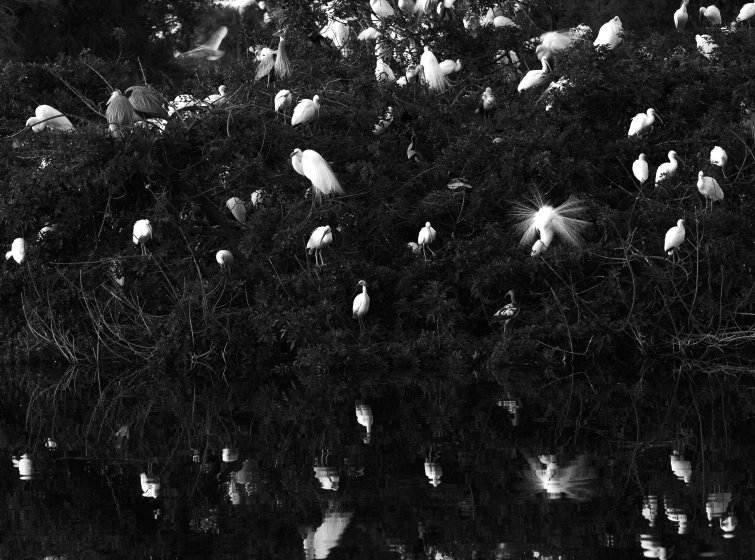 *#266|MONOCHROME|15-17 Jan'16|POST YOURS!* | Page 6 | DPReview Forums