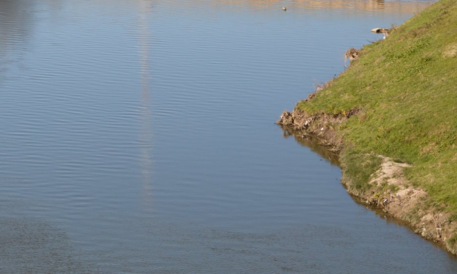 50mm STM vs. 24-70 II @ 50mm featuring the 5DsR & co-starring Huelight ...