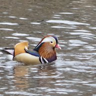 Hand Held Inside Flash Pictures | DPReview Forums