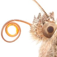 Memory card & old flash use with X-M1 / A1 | DPReview Forums