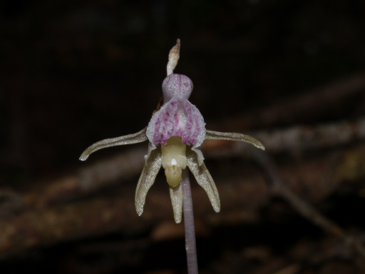 1billbobaggins | DPReview Forums