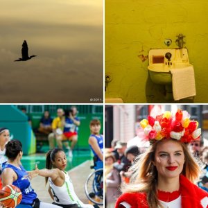 Member album (public) | DPReview Forums