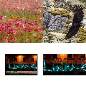 Member album (public) | DPReview Forums